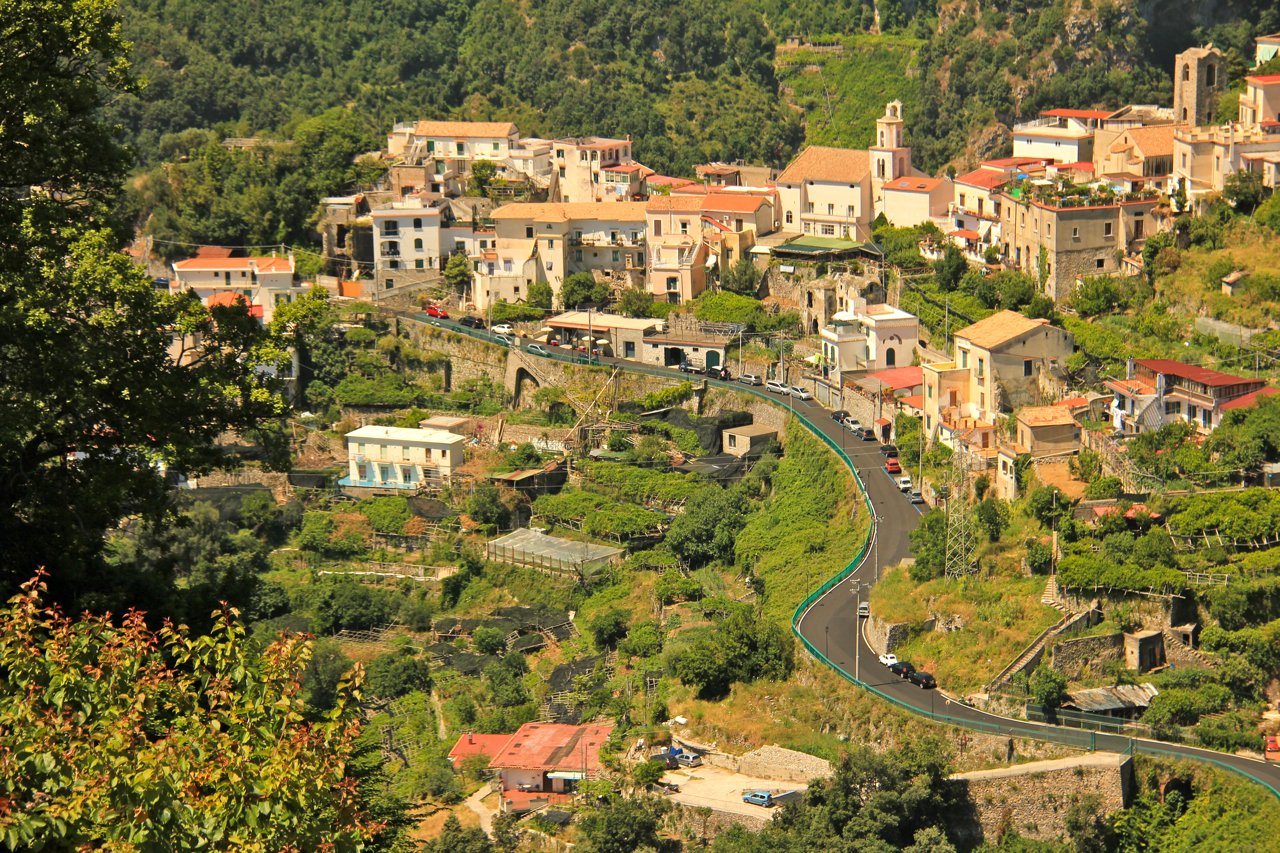 IMG_0826 | DAVE CHEESEMAN